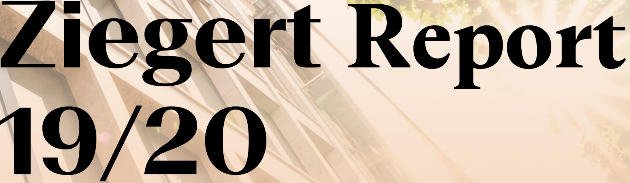 Ziegert Report 19/20 - Value AG the valuation group